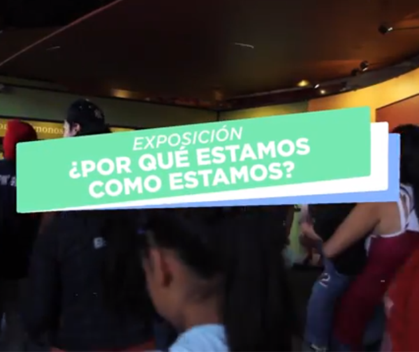 Exposición ¿Por qué estamos cómo estamos? - MEMORIA VIRTUAL GUATEMALA
